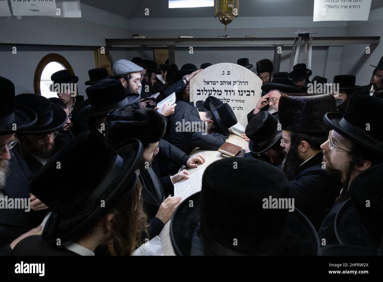 Ultra orthodox Jews (hassids) are seen praying in front of the grave of ...