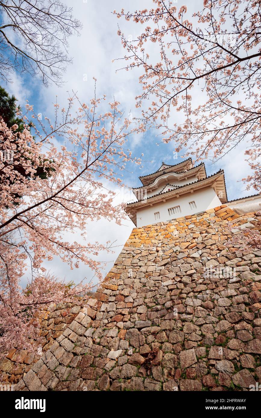 Akashi castle park hi-res stock photography and images - Alamy