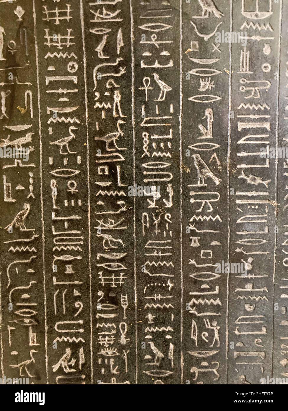 Drawings and hieroglyphs on the surface of a funeral sarcophagus ...