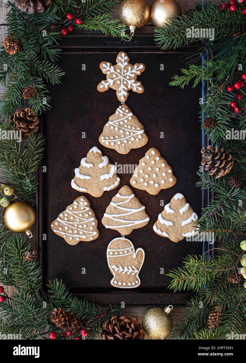Overhead of christmas shaped gingerbread cookies on sheet pan Stock ...