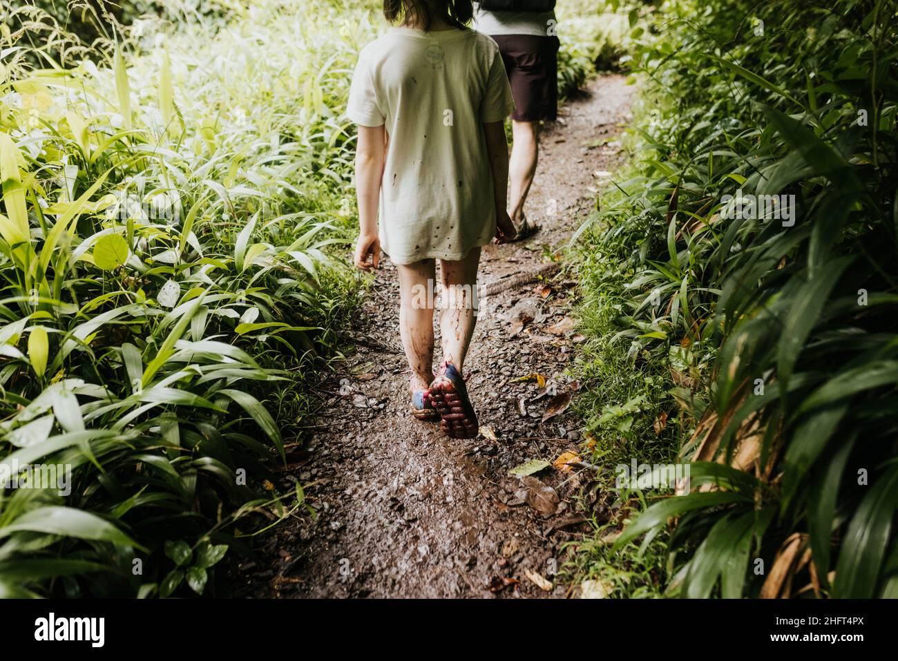 Father and daughter walk along a muddy path in Hawaiian forest Stock ...