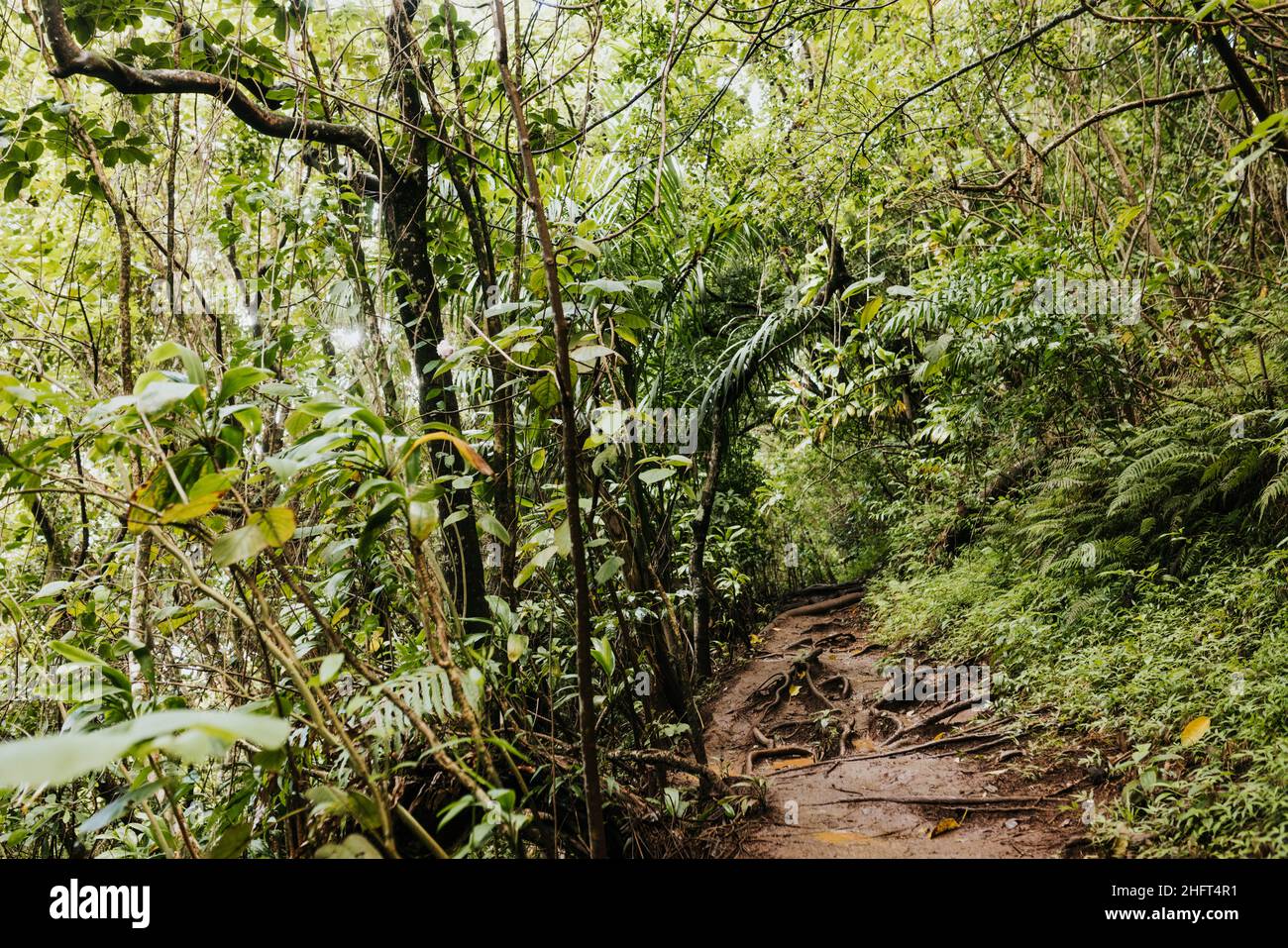 Foot path view hi-res stock photography and images - Alamy