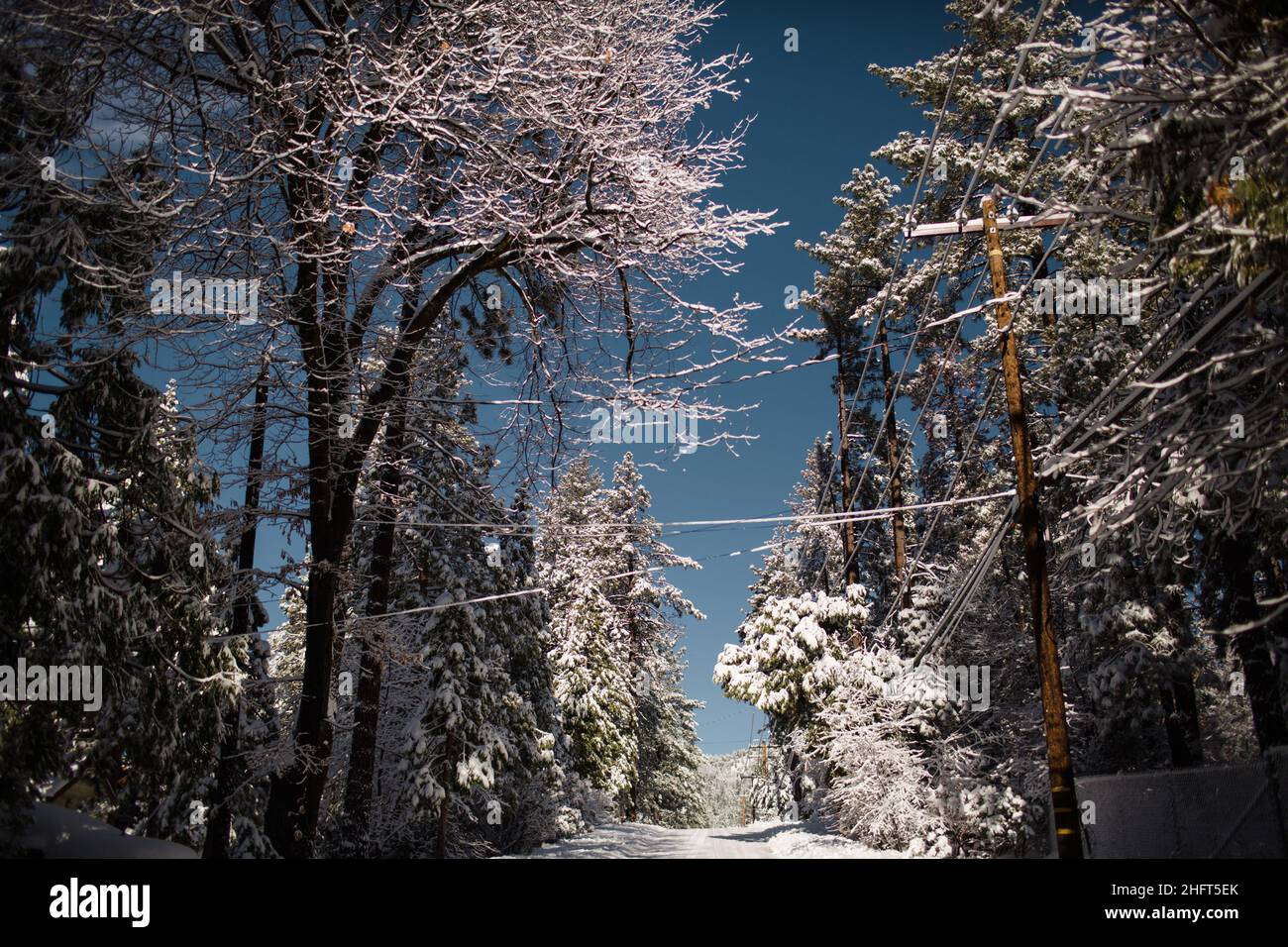 Snow Covered Street & Trees in Idyllwild Stock Photo - Alamy