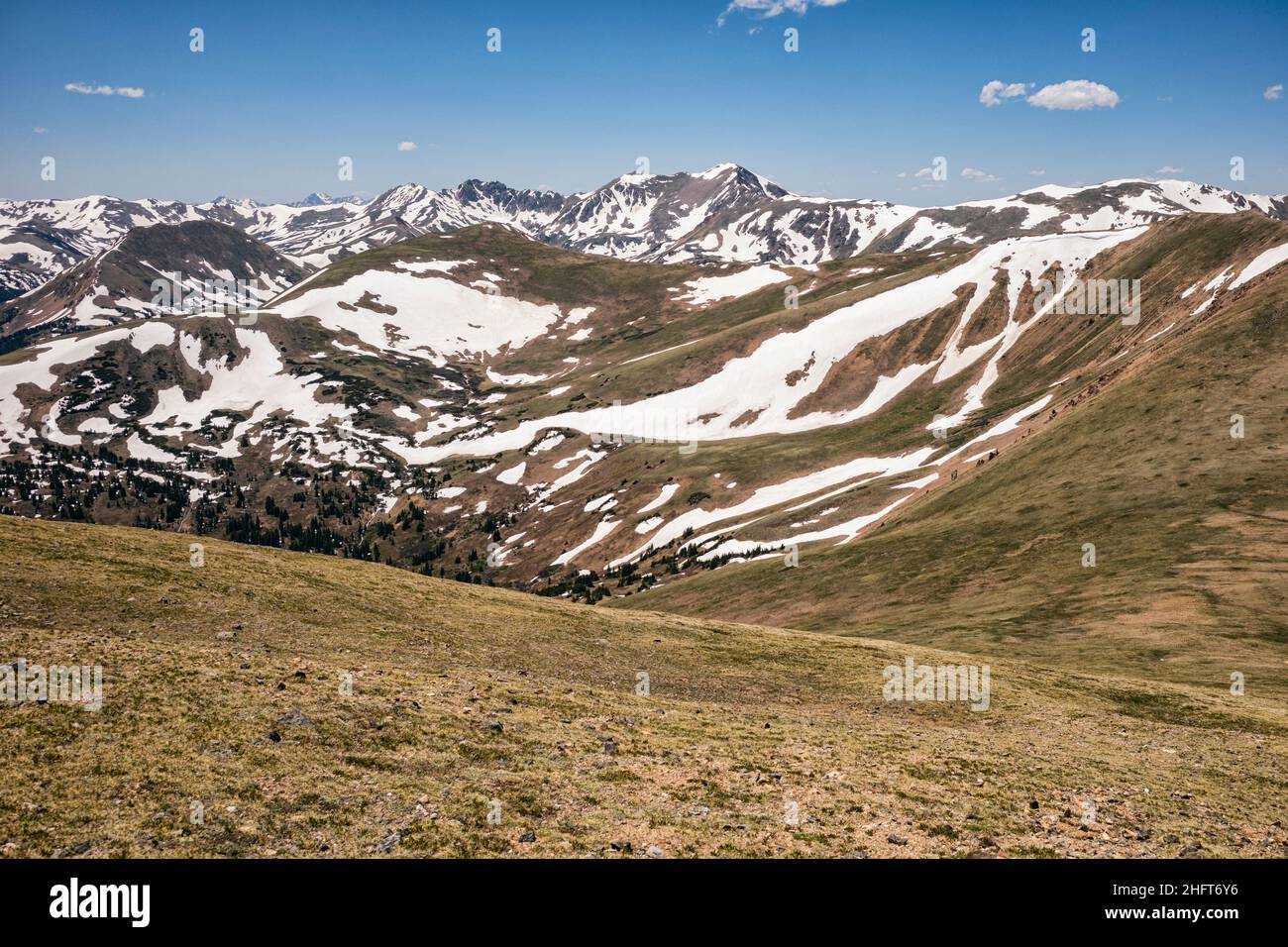 Alpine tundra in the Rocky Mountains, Colorado Stock Photo - Alamy