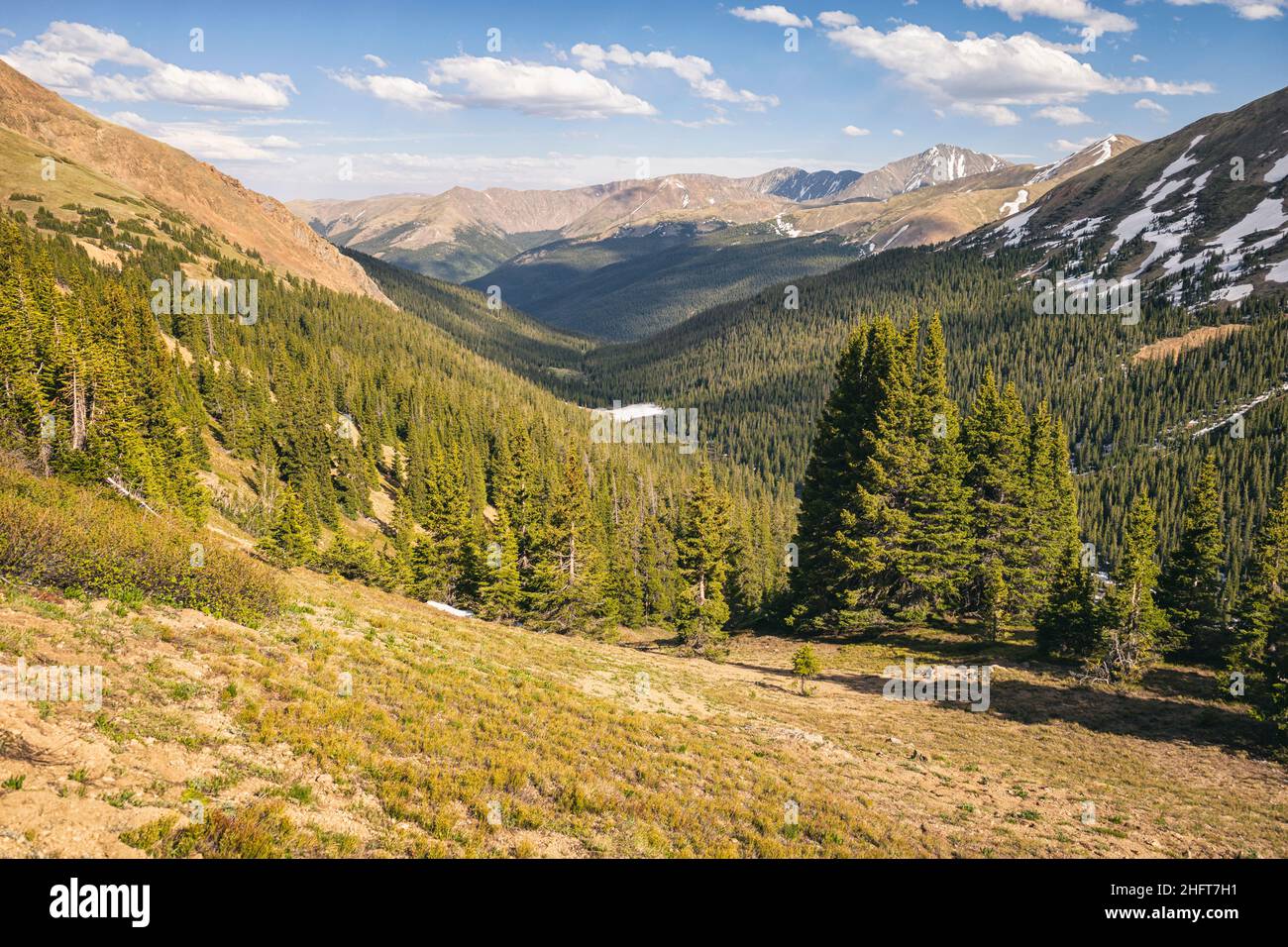 Vast valley view trees hi-res stock photography and images - Alamy