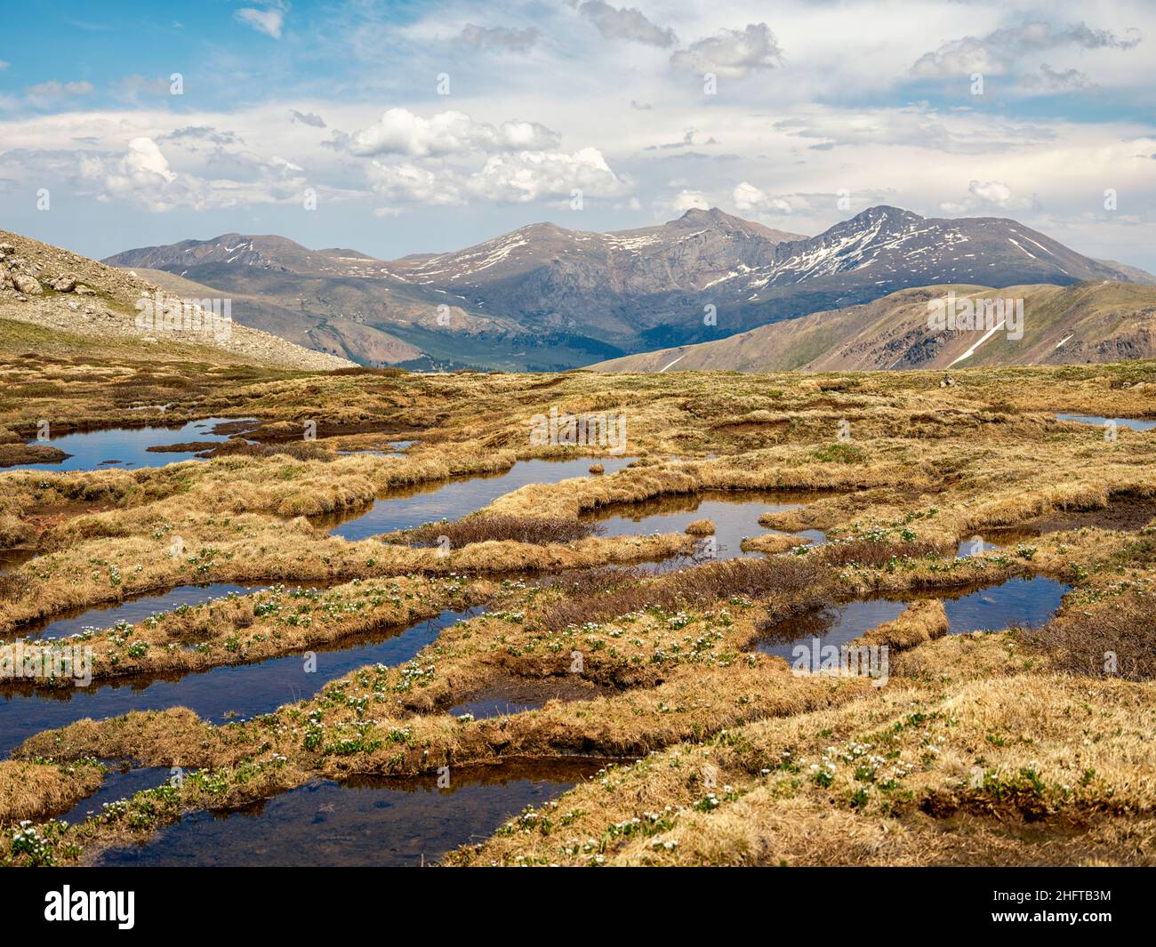 Wetland in the Rocky Mountains, Colorado Stock Photo - Alamy