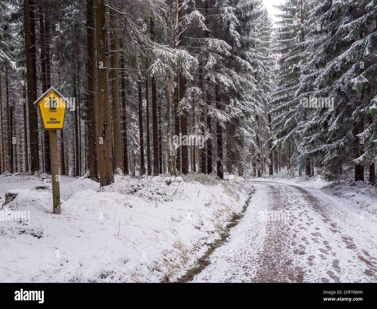 Nature reserve in winter in Germany Stock Photo - Alamy
