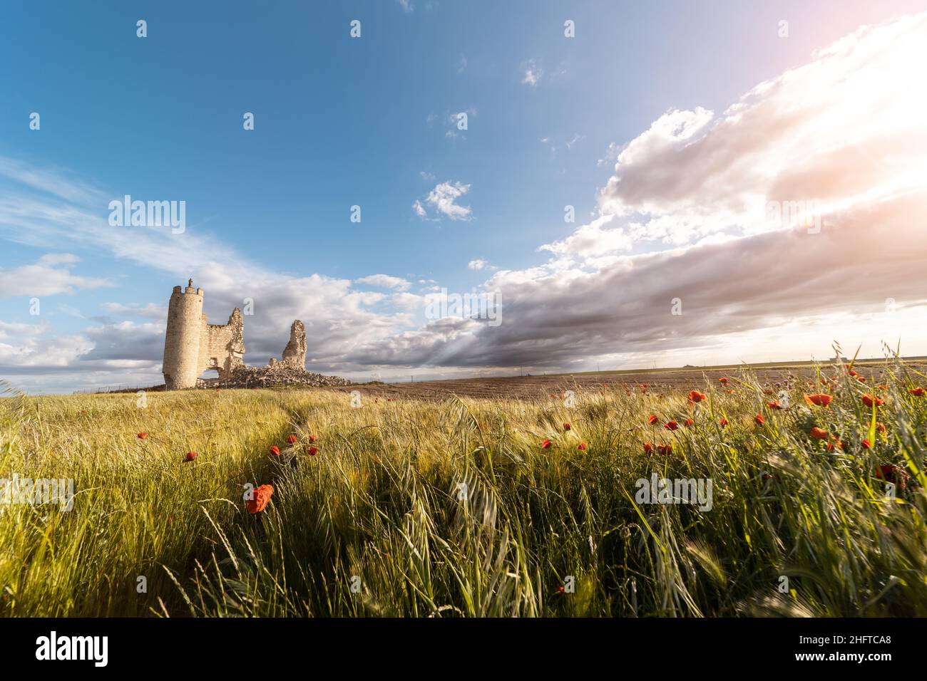 Caudilla castle in a sunny field of poppies in springtime Stock Photo ...