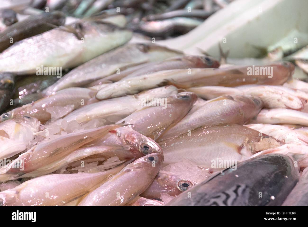 raw fish stall in a market Stock Photo - Alamy
