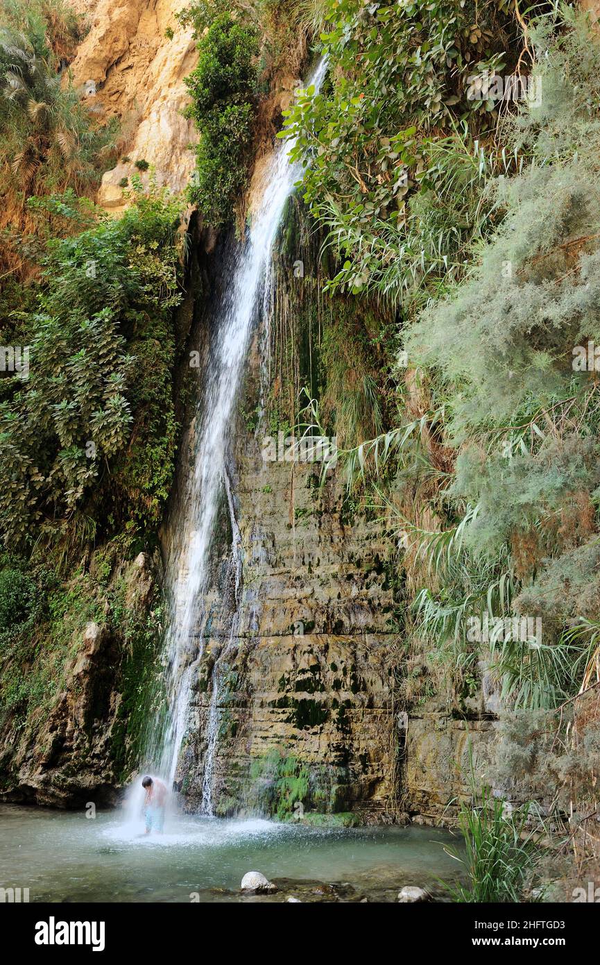 Streams and waterfalls Nature Reserve Ein Gedi at the Dead Sea in ...