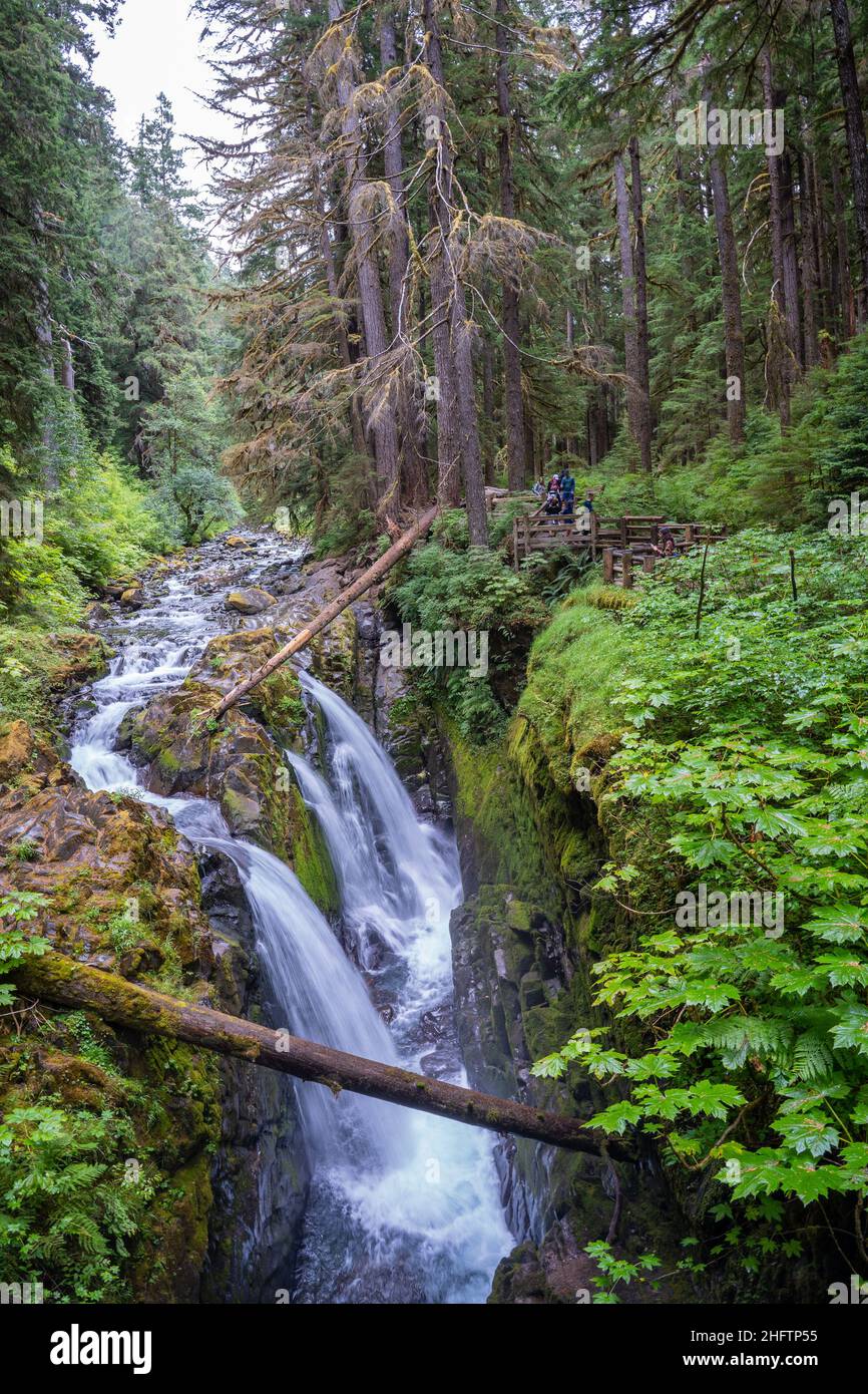 Sol Duc Falls in Sol Duc Valley are called the most beautiful falls in ...