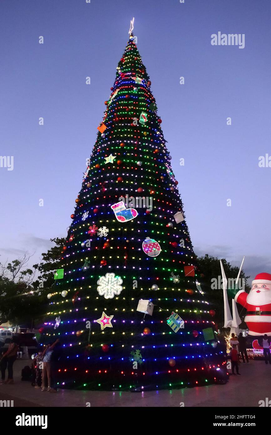 Christmas tree, San Francisco de Campeche, state of Campeche, Mexico ...