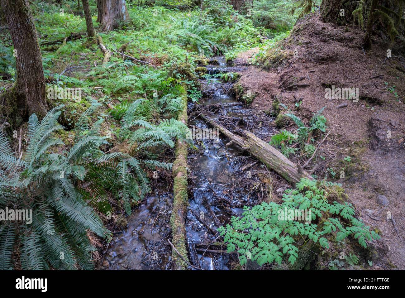 Sol Duc Falls in Sol Duc Valley are called the most beautiful falls in ...