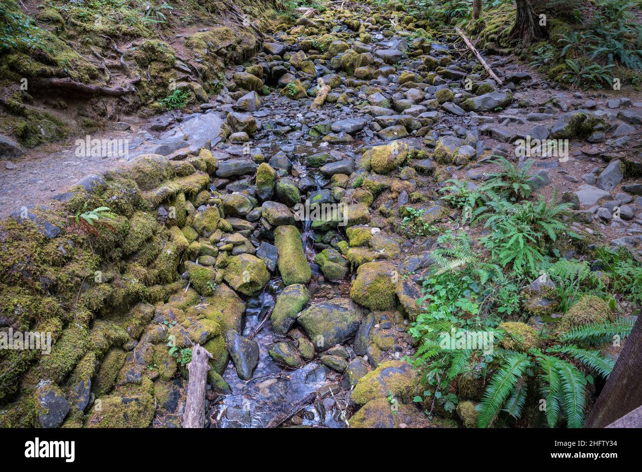 Sol Duc Falls in Sol Duc Valley are called the most beautiful falls in ...