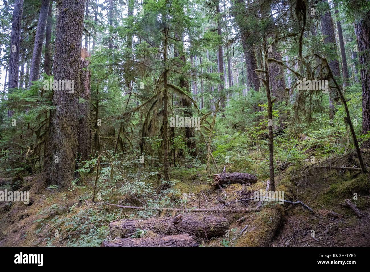 Sol Duc Falls in Sol Duc Valley are called the most beautiful falls in ...