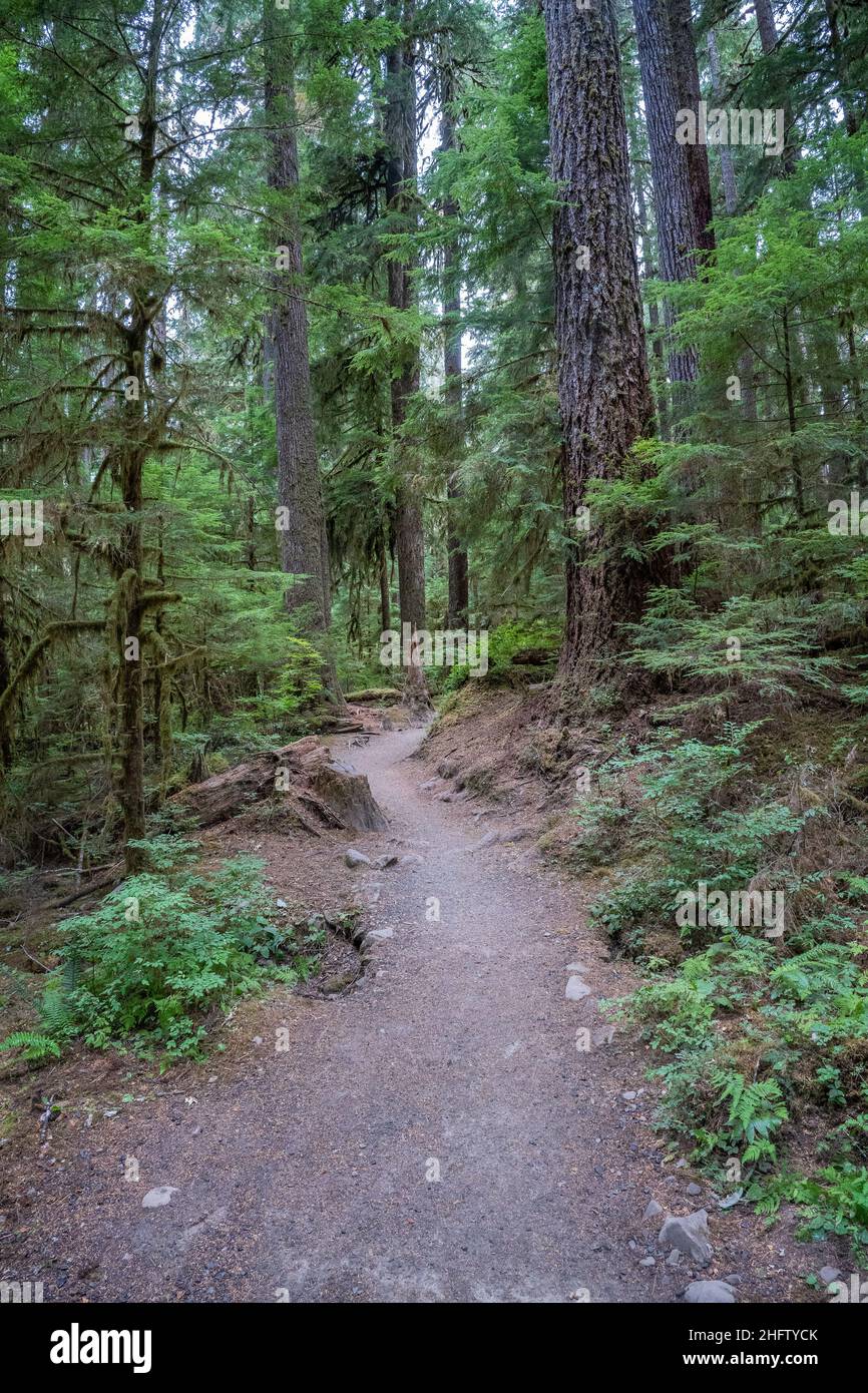 Sol Duc Falls in Sol Duc Valley are called the most beautiful falls in ...