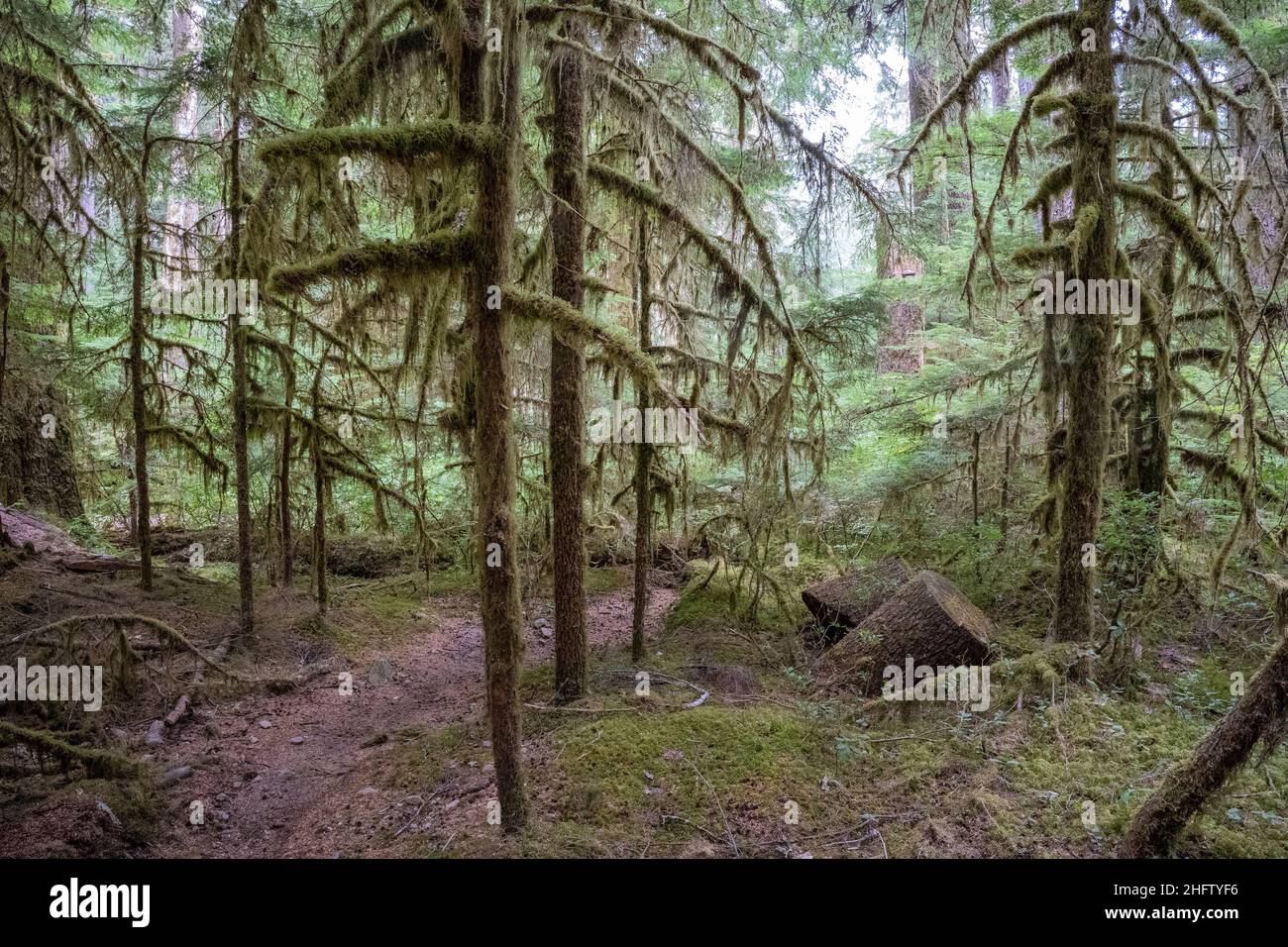 Sol Duc Falls in Sol Duc Valley are called the most beautiful falls in ...
