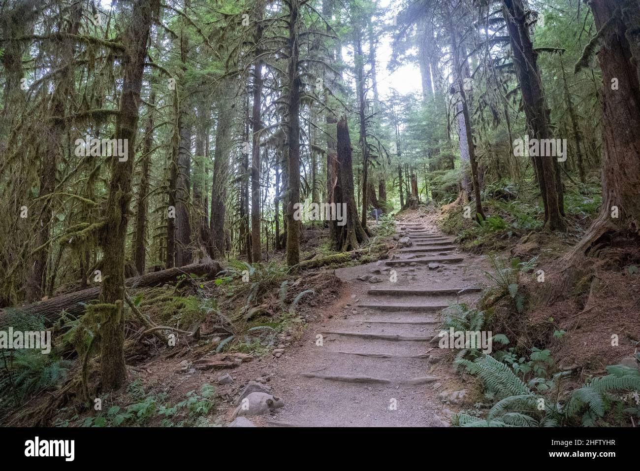 Sol Duc Falls in Sol Duc Valley are called the most beautiful falls in ...