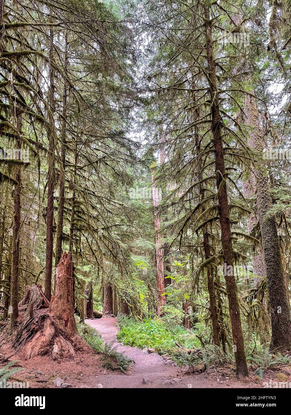 Sol Duc Falls in Sol Duc Valley are called the most beautiful falls in ...