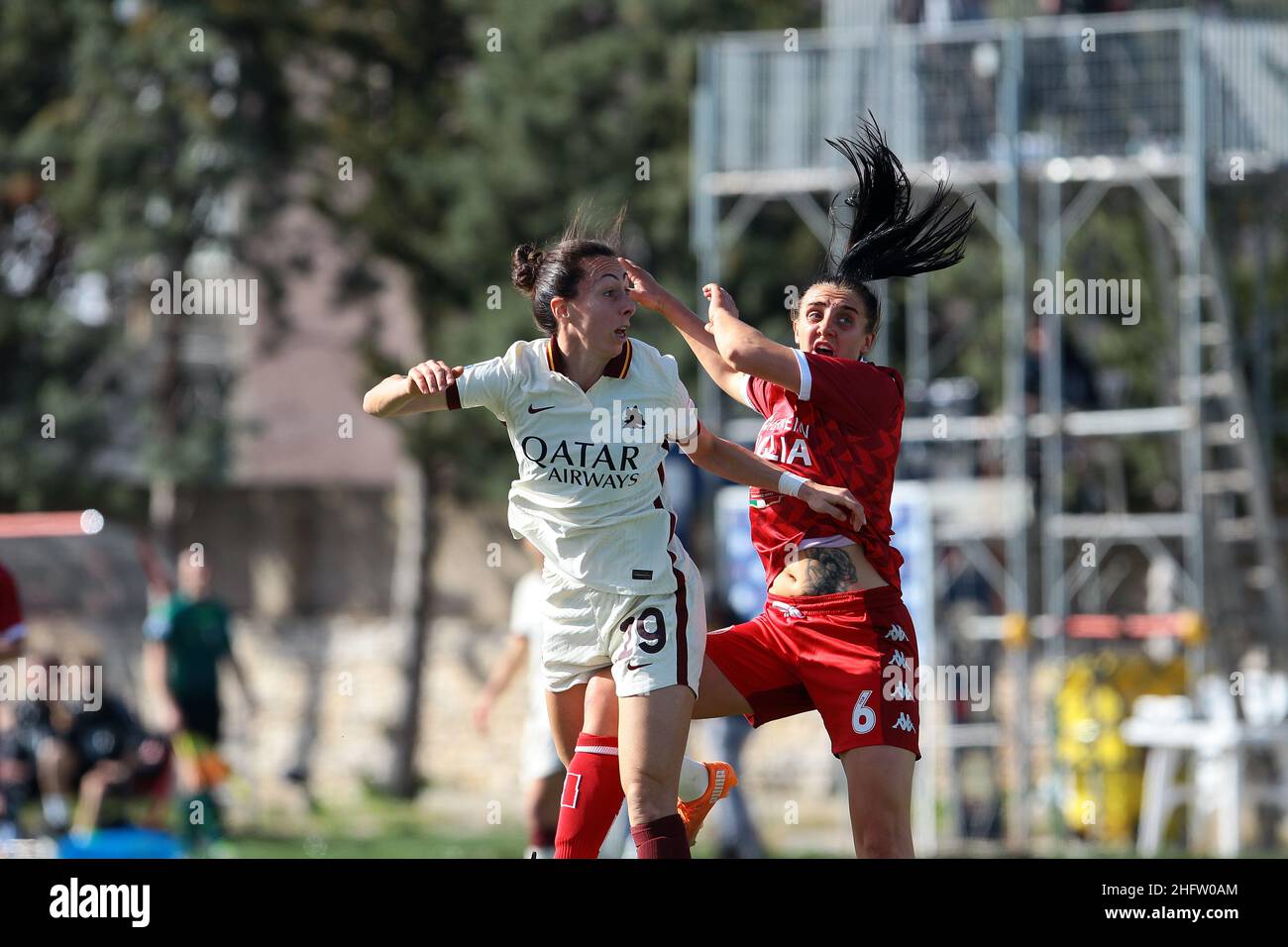 Paloma e hi-res stock photography and images - Alamy