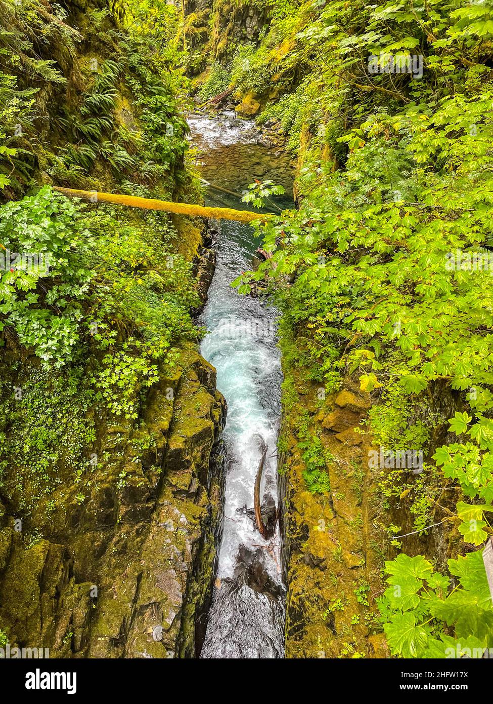 Sol Duc Falls in Sol Duc Valley are called the most beautiful falls in ...