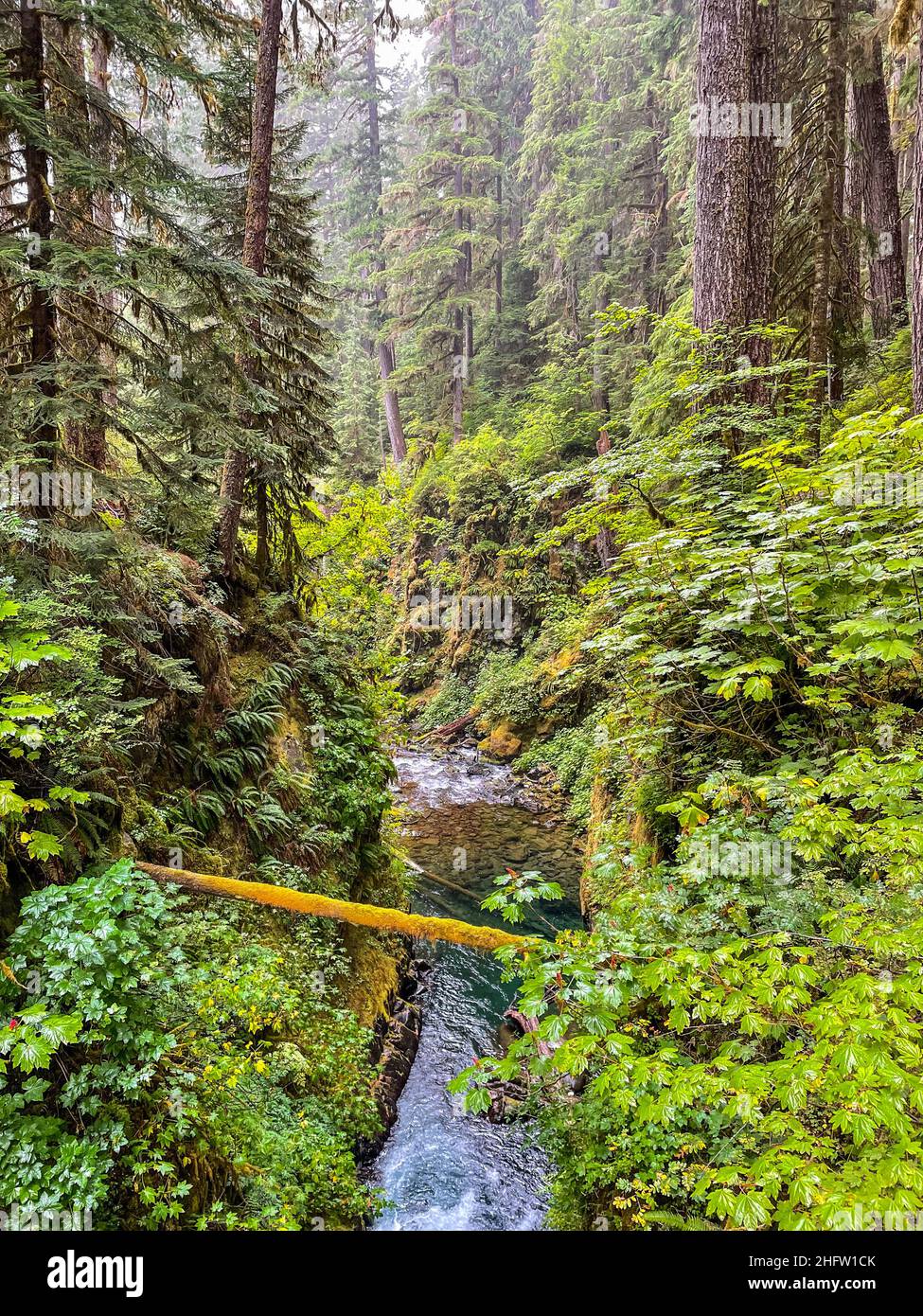 Sol Duc Falls in Sol Duc Valley are called the most beautiful falls in ...