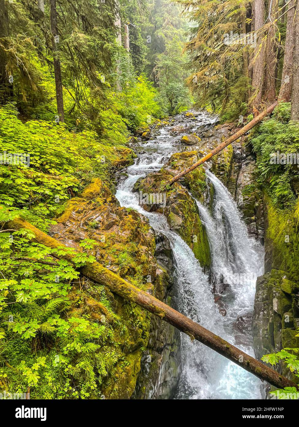 Sol Duc Falls in Sol Duc Valley are called the most beautiful falls in ...