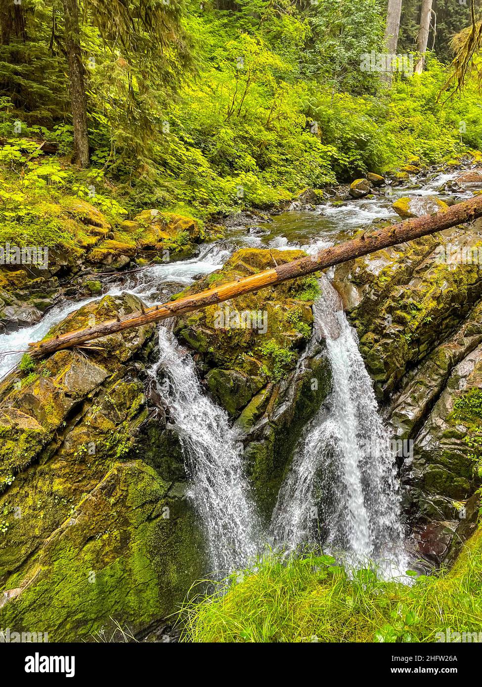 Sol Duc Falls in Sol Duc Valley are called the most beautiful falls in ...