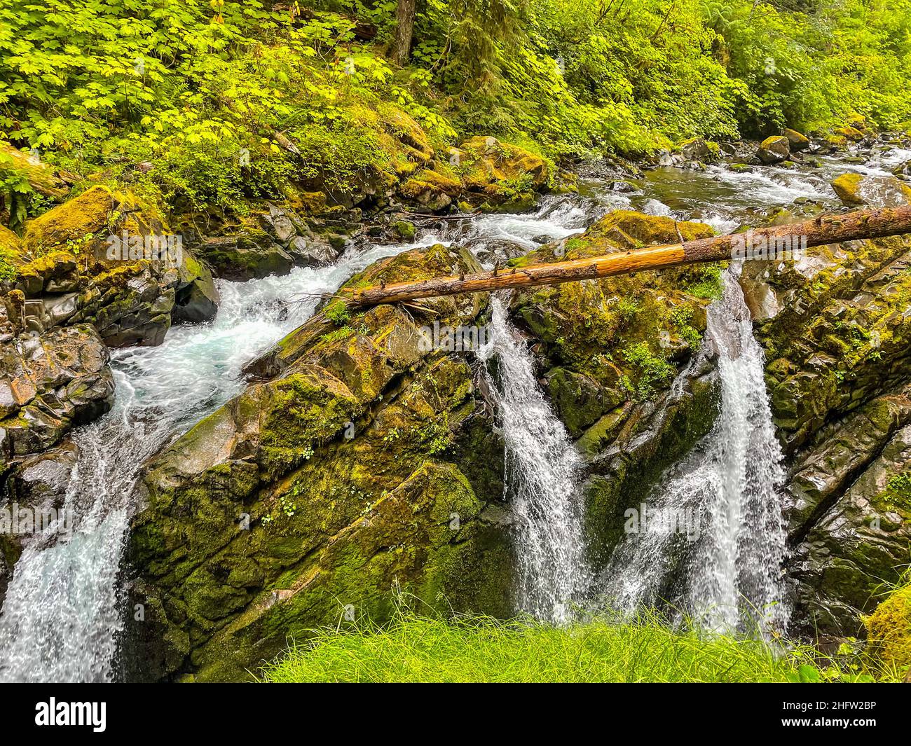 Sol Duc Falls in Sol Duc Valley are called the most beautiful falls in ...