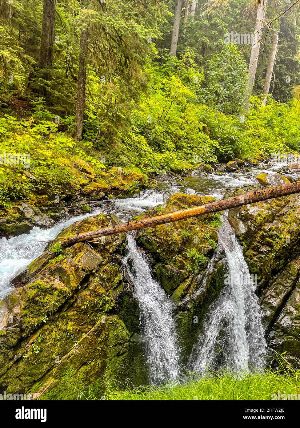 Sol Duc Falls in Sol Duc Valley are called the most beautiful falls in ...