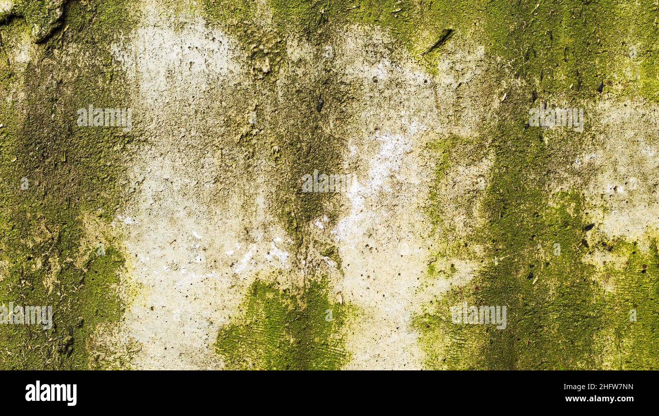 Abstract concrete, weathered with cracks and scratches. Landscape style ...