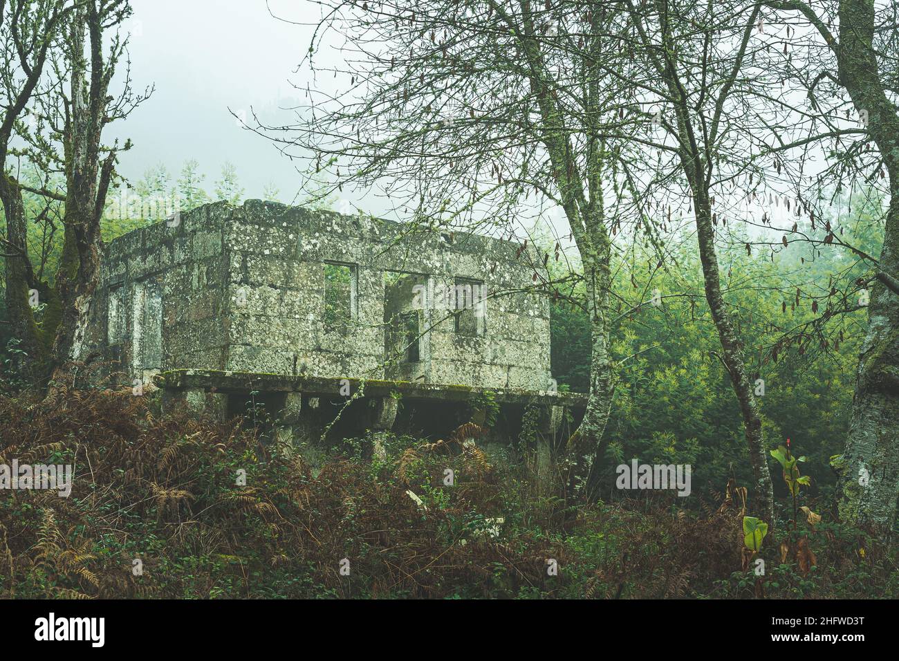 Ruin and vegetation hi-res stock photography and images - Alamy