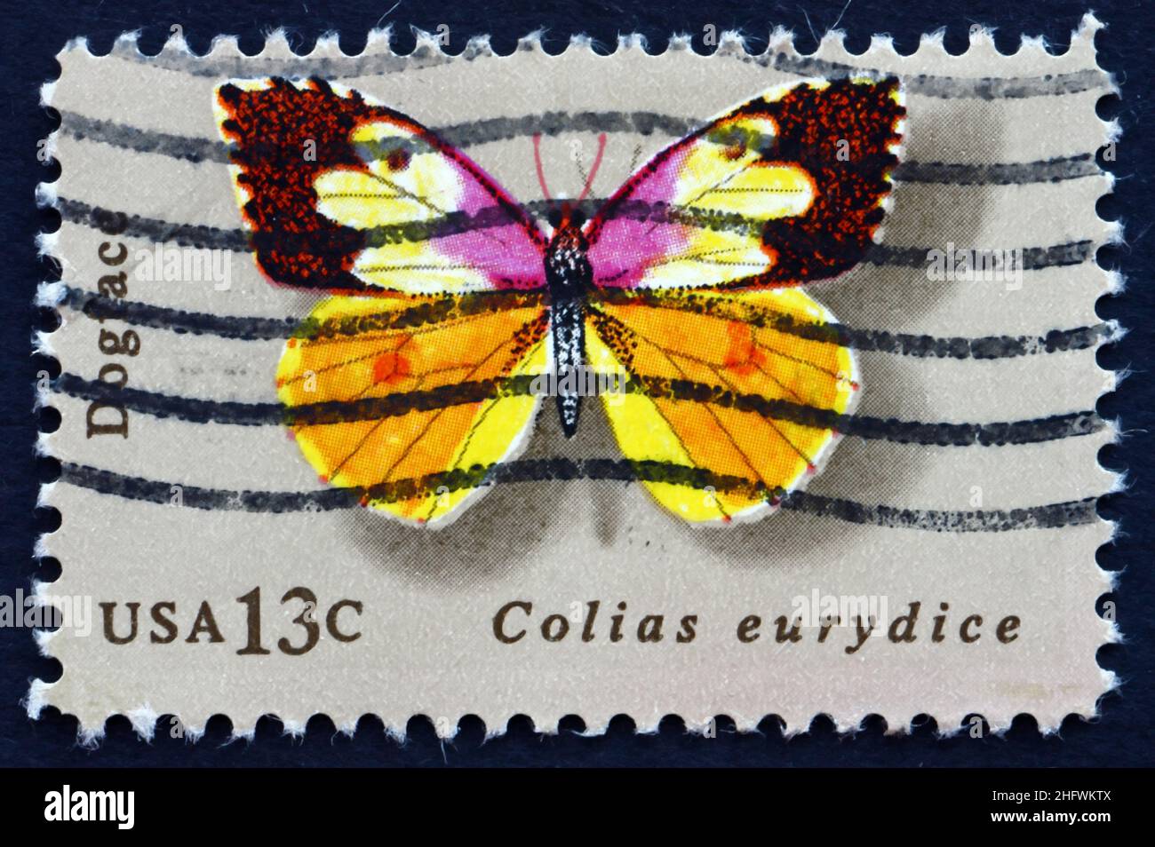 Californias State Insect Name