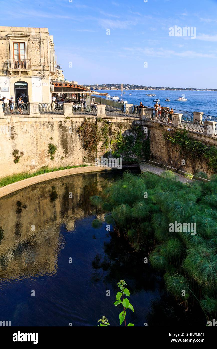 Arethusa Spring, Ortigia, Syracuse, Sicily Stock Photo - Alamy