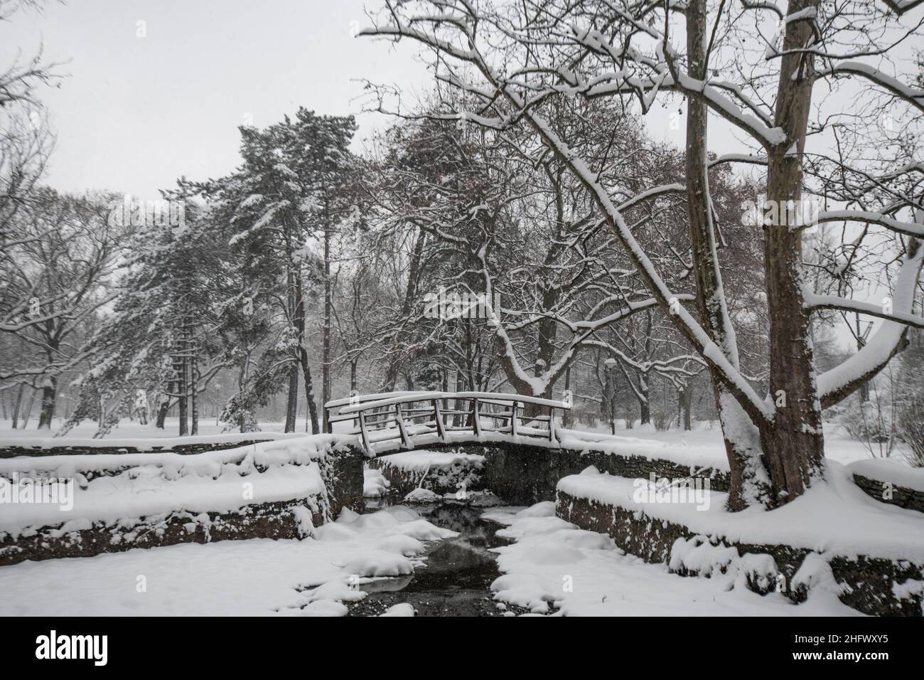 Winter in Serbia: snowed bridge in a park, Belgrade Stock Photo - Alamy