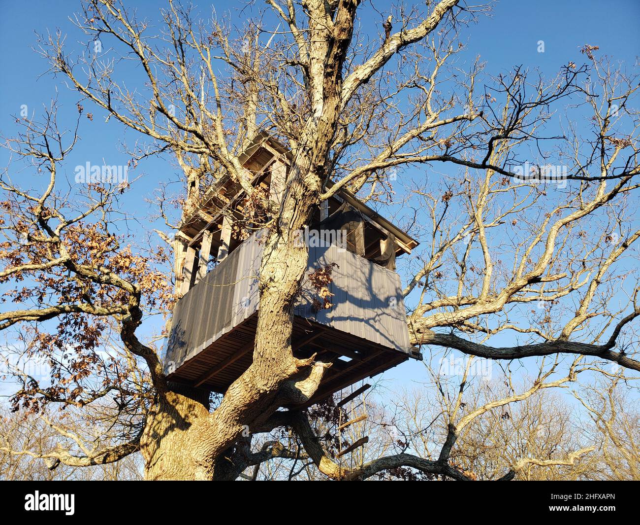 Treehouse children hi-res stock photography and images - Alamy