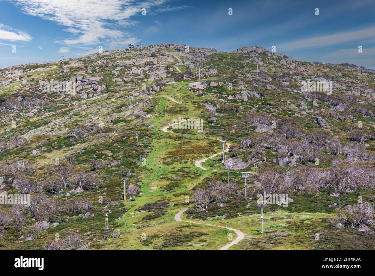 Perisher valley flora hi-res stock photography and images - Alamy