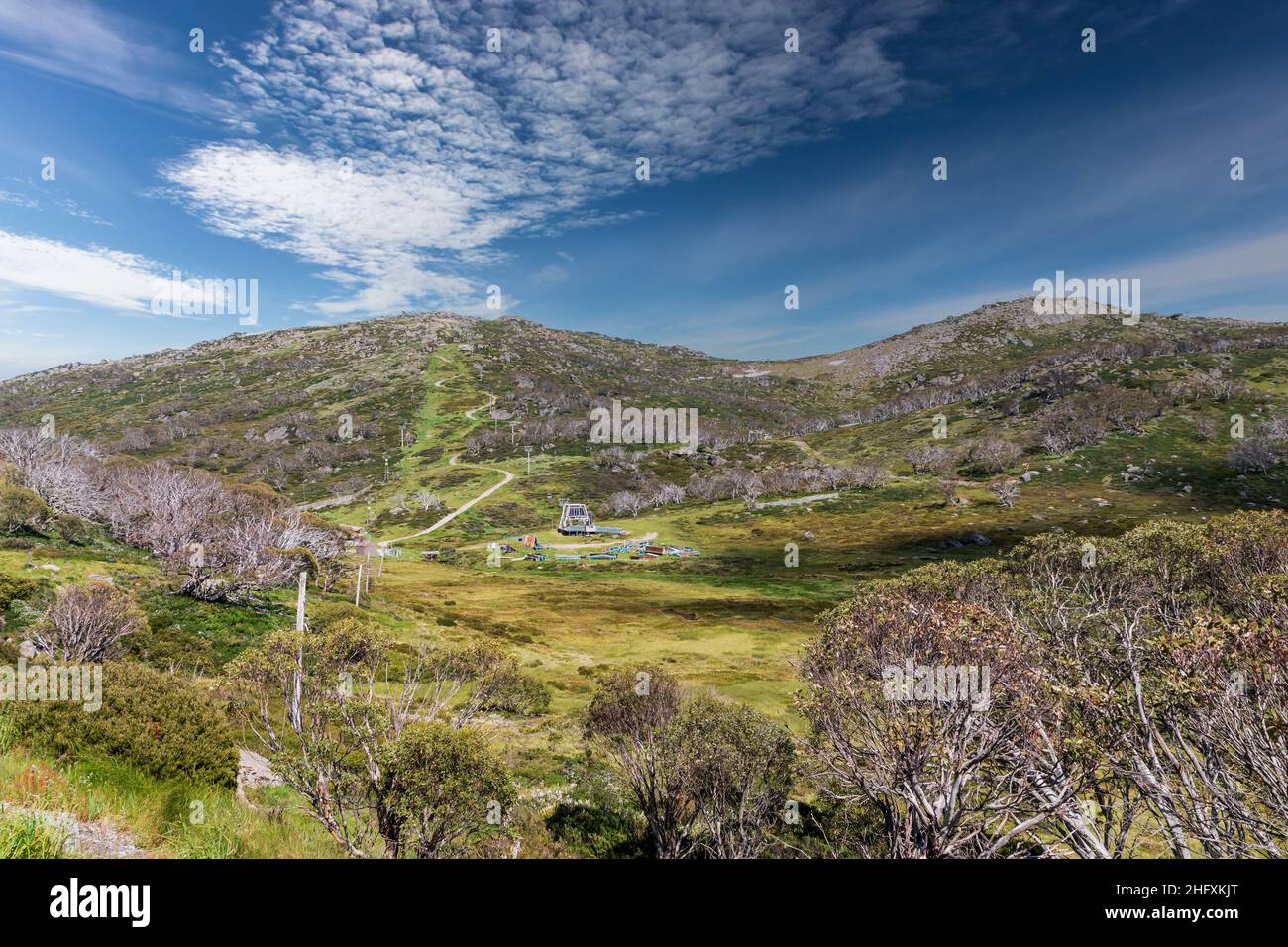 Perisher valley flora hi-res stock photography and images - Alamy