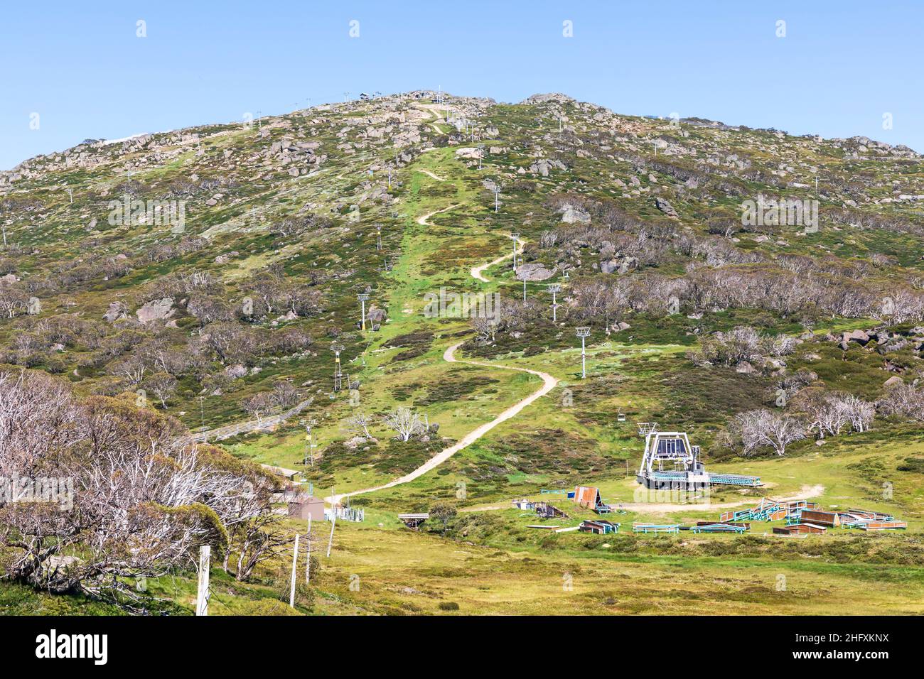 Perisher valley flora hi-res stock photography and images - Alamy