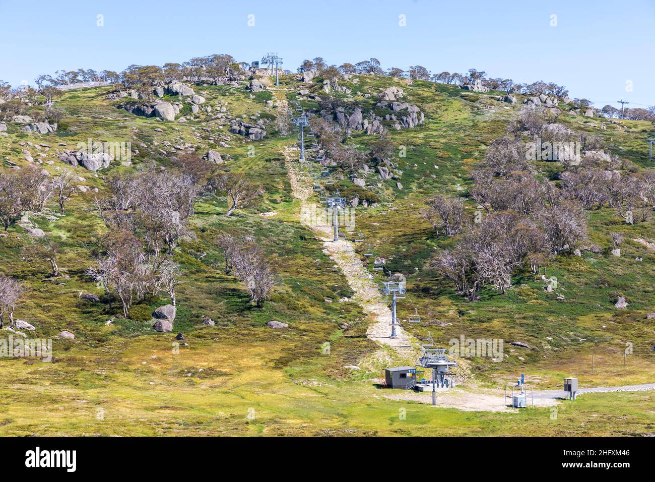 Perisher valley flora hi-res stock photography and images - Alamy