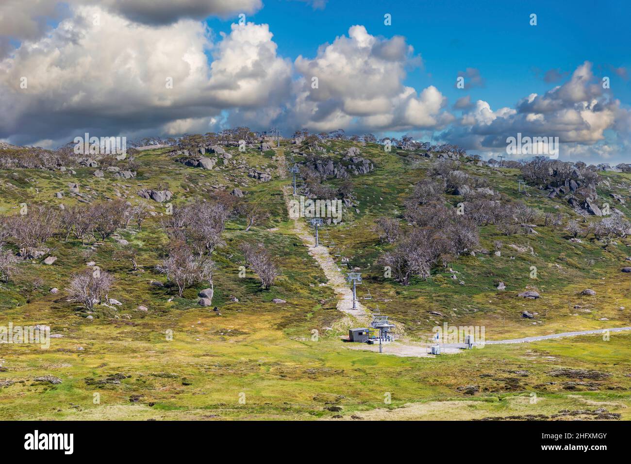 Perisher valley flora hi-res stock photography and images - Alamy