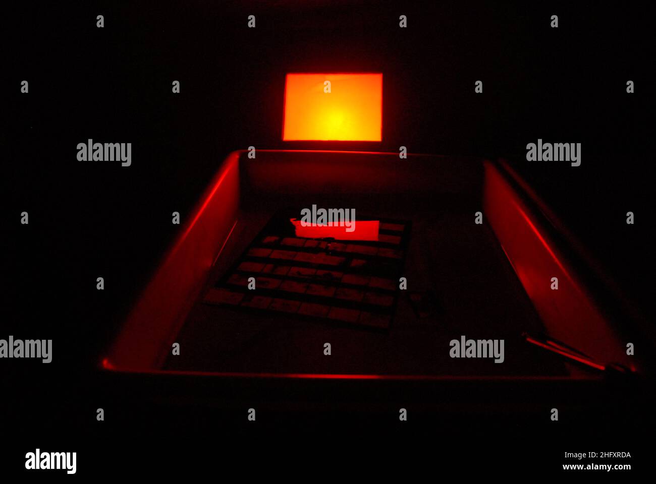 Developing tray hi-res stock photography and images - Alamy