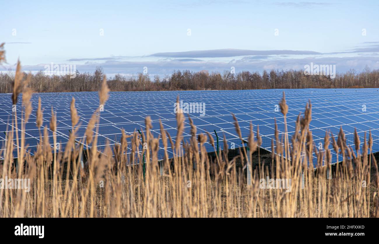 Electric farm with panels for producing clean ecologic energy Stock ...