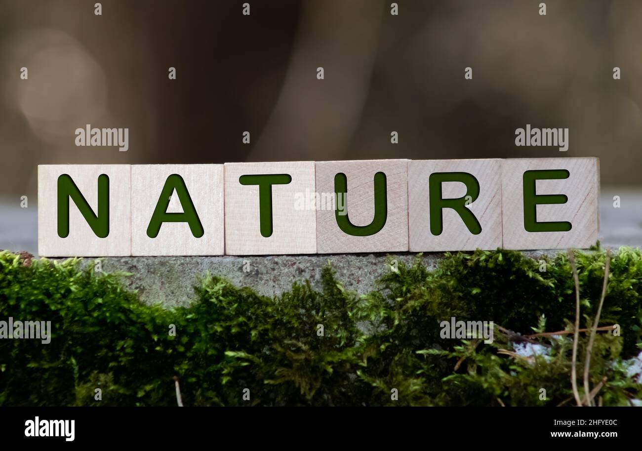 The word Nature written in vintage wooden letterpress type Stock Photo ...