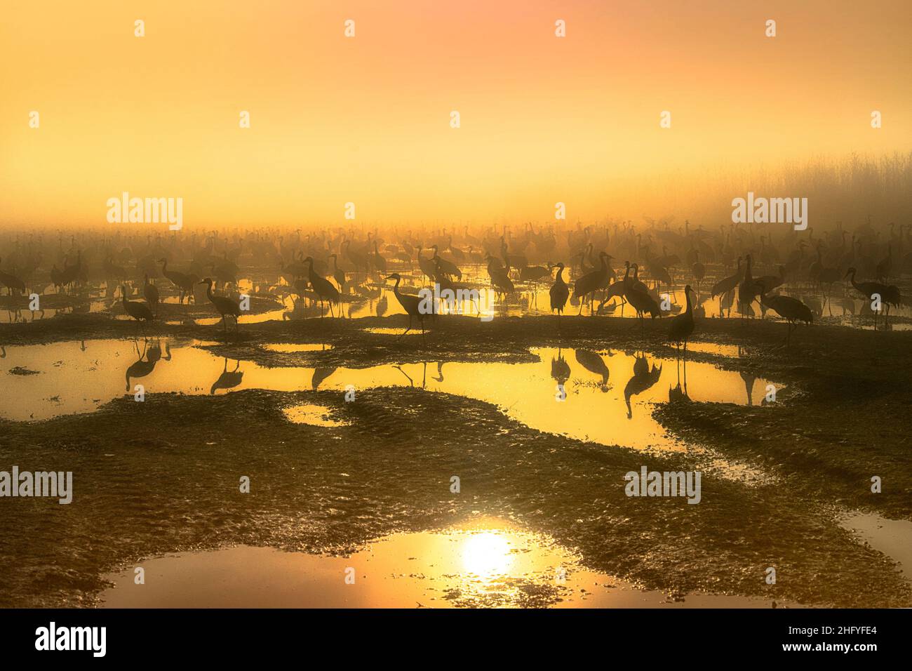 Sunset in Israel Views of the Holy Land Stock Photo - Alamy