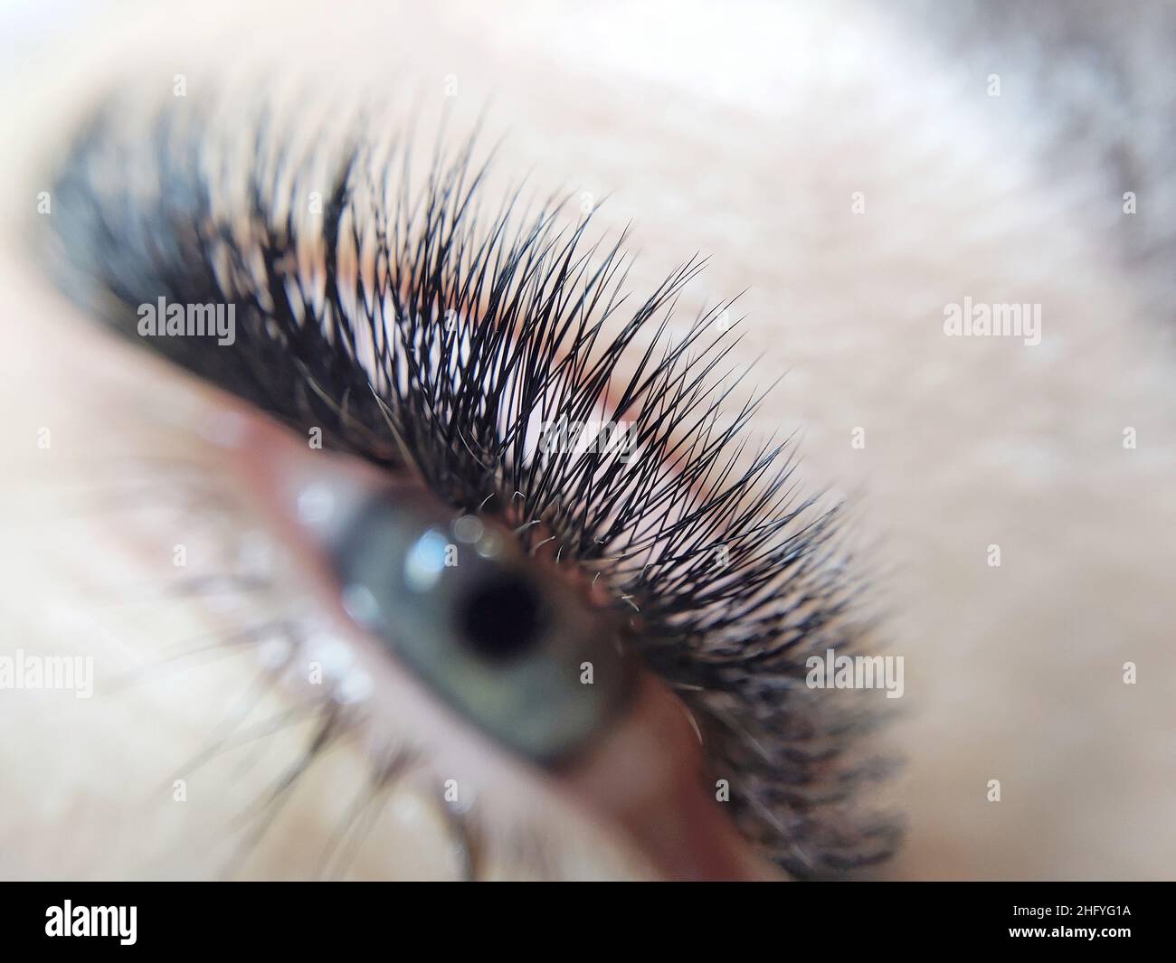 Lash extensions in beauty salon macro eye . High quality photo Stock ...