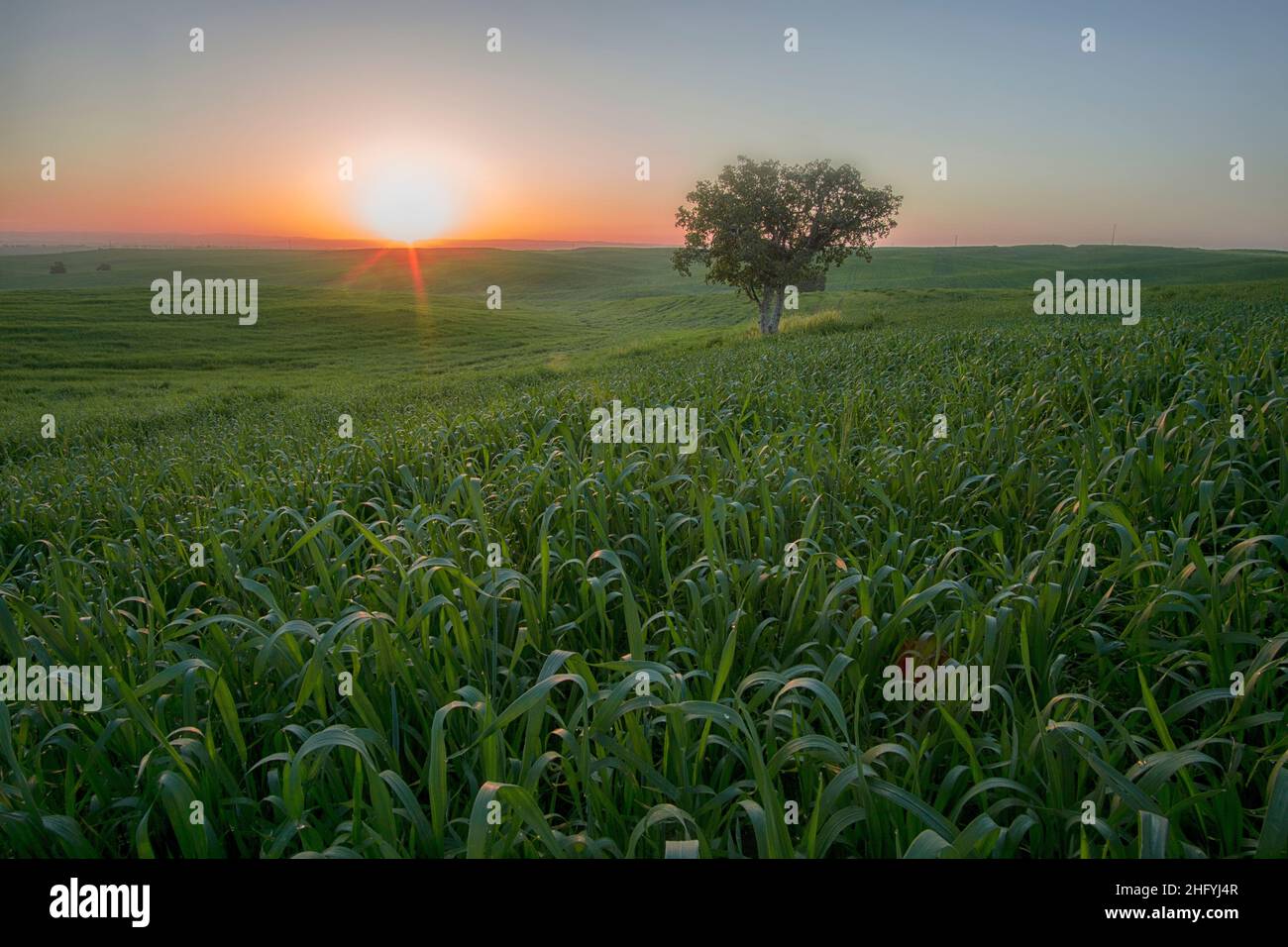 Sunset in Israel Views of the Holy Land Stock Photo - Alamy