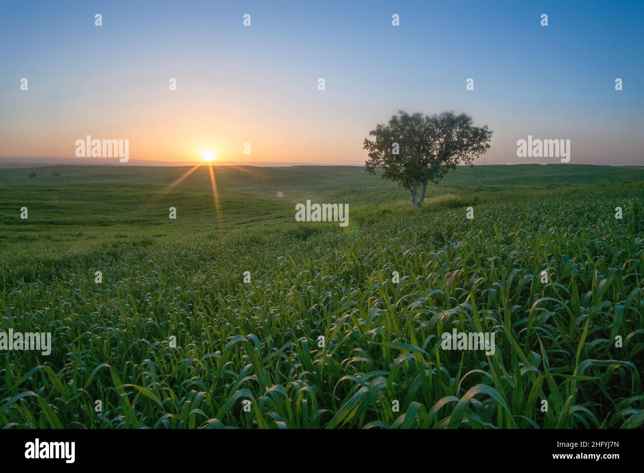Sunset in Israel Views of the Holy Land Stock Photo - Alamy