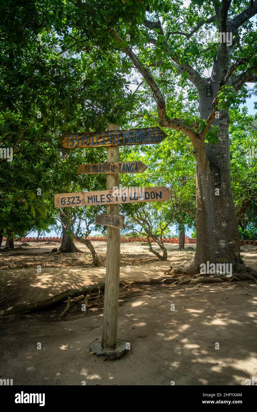 Wooden direction arrow signs on a wooden pole isolated on a lush ...