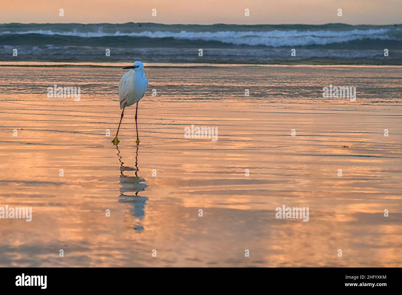 Sea of galilee israel sunset hi-res stock photography and images - Alamy